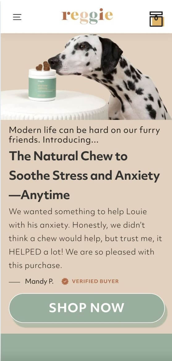 CreativeOS - Build scroll-stopping creative!